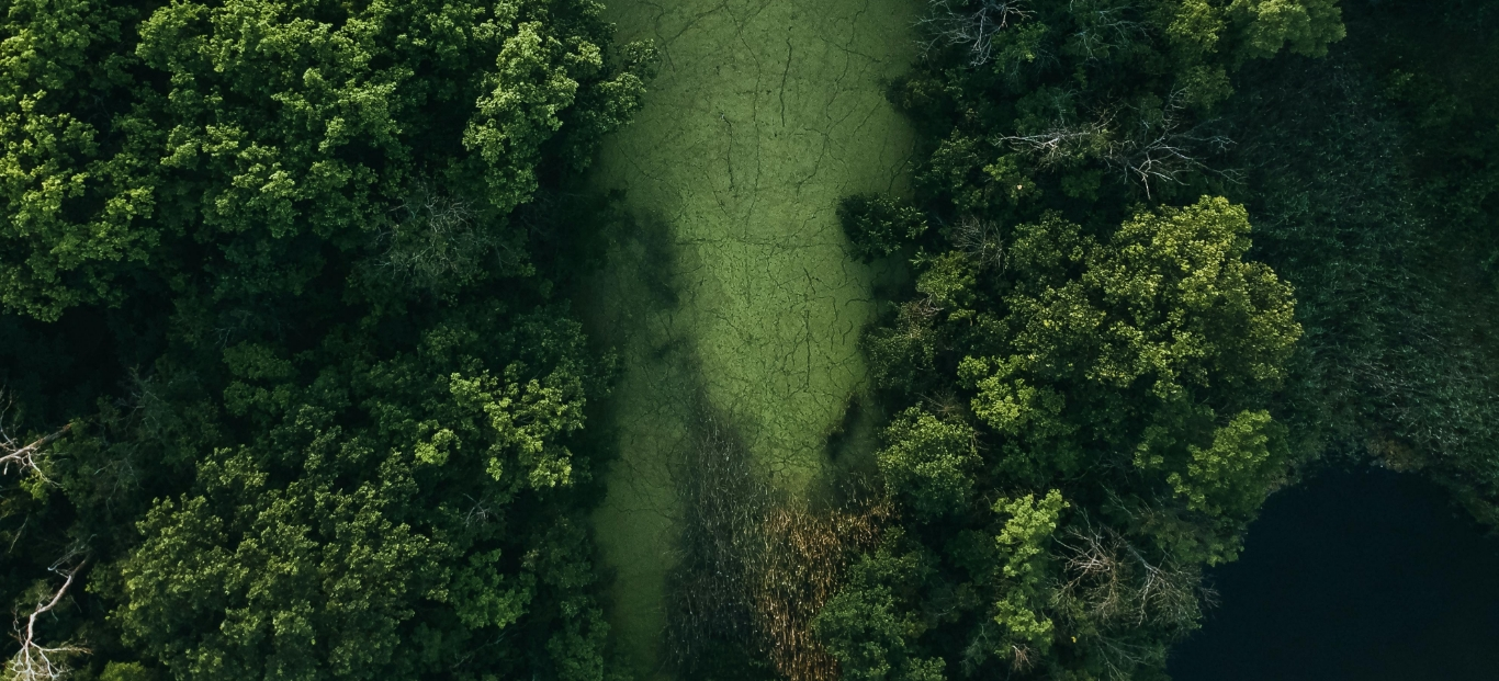 Will Drafting Form - Marsh Fidelity